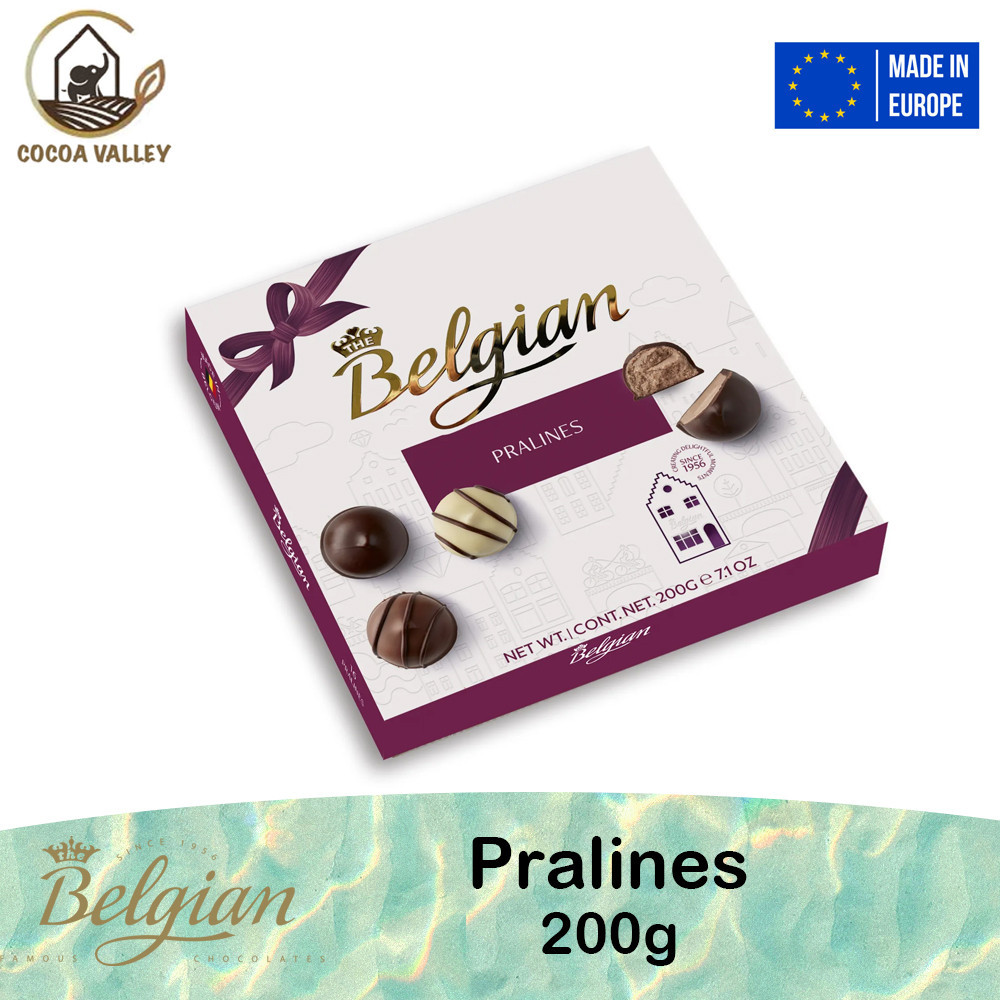 Belgian 16 Pralines Chocolate Box 200g(ICE PACK INCLUDED) | Shopee Malaysia