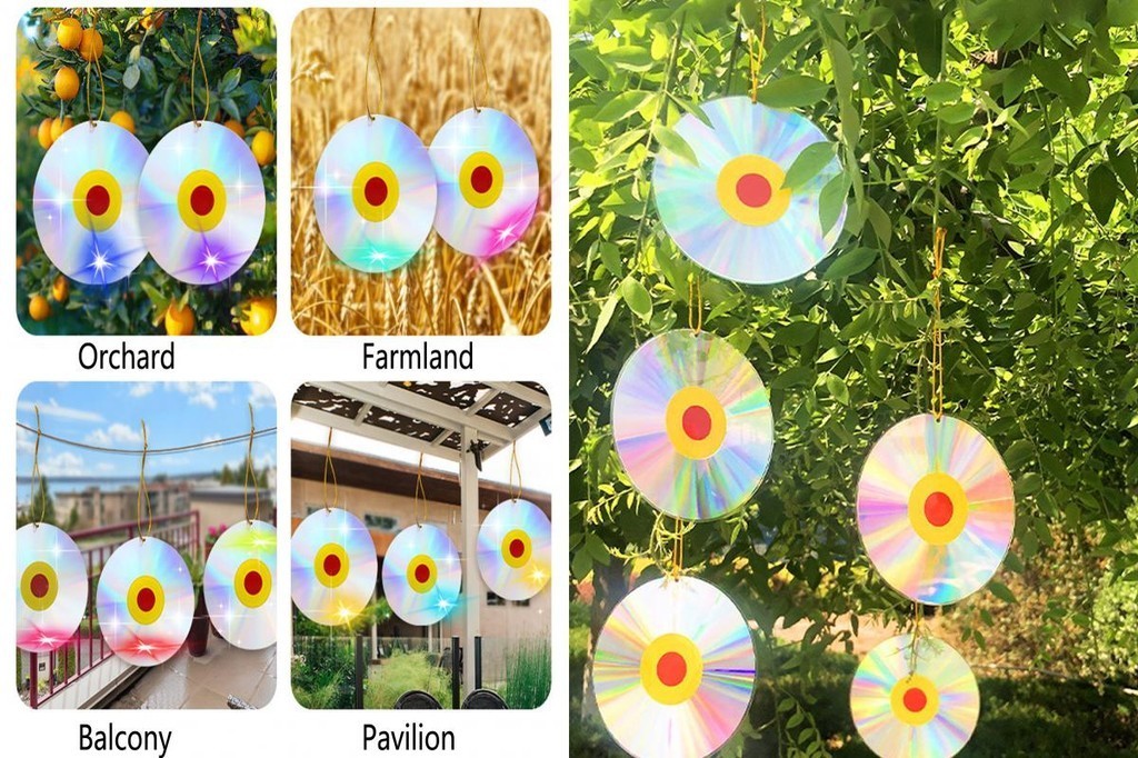 Moon Bird Scare Disc Professional Anti Bird Effective Strong Reflective ...
