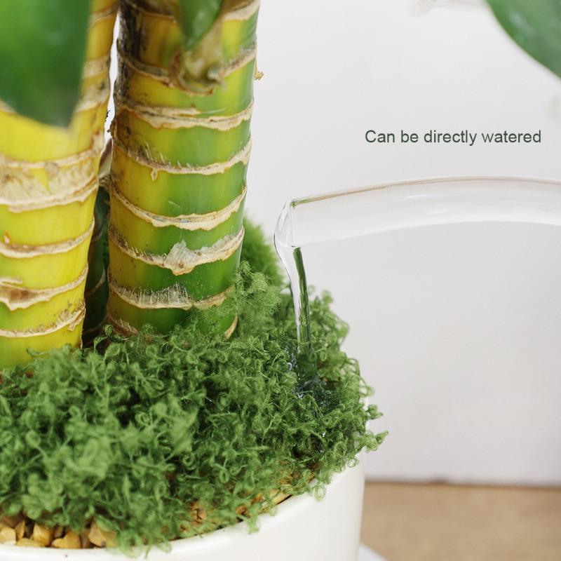 30/50g DIY Artificial Moss Simulation - Lawn Bonsai Paving Decorative ...