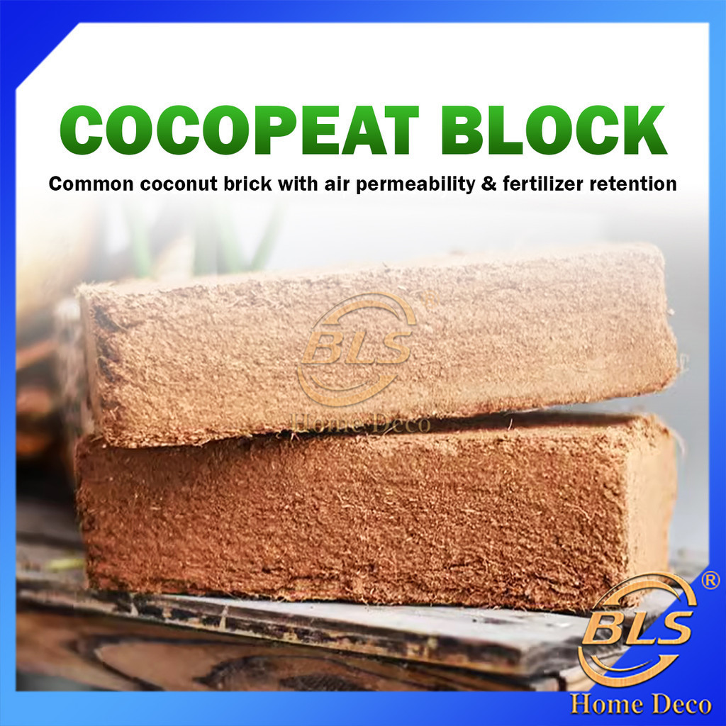 650g Cocopeat Block Compressed Cocopeat Brick Premium Coir Coco Peat Garden Soil Bongkah Sabut ...