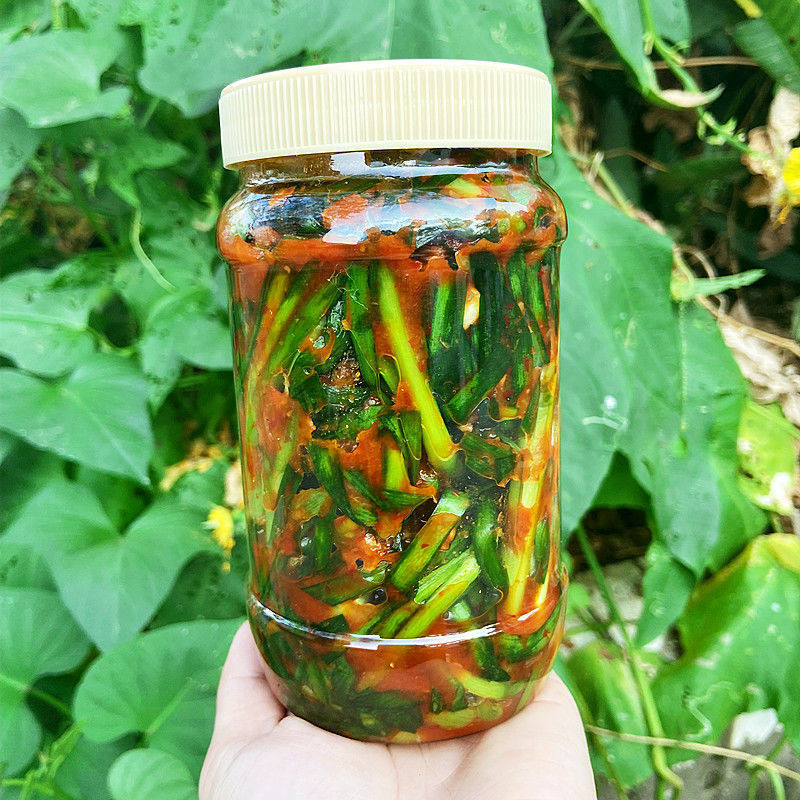 ZEJUN Jiangxi Farmhouse Pickled chives Pickles Spicy dishes Fresh ...