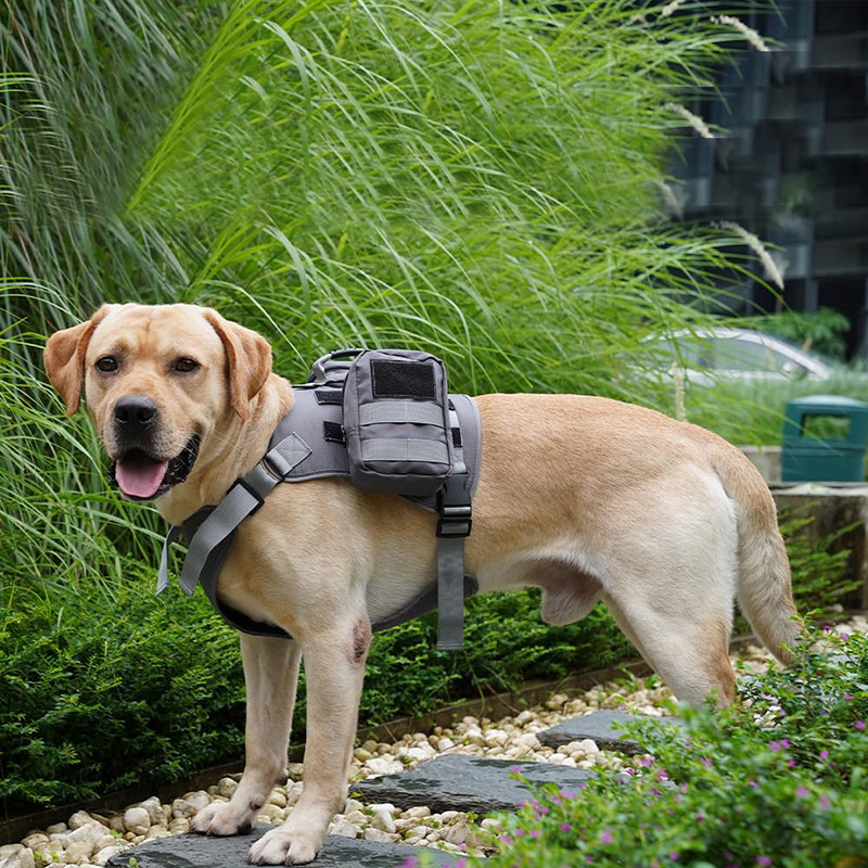 Benepaw Dog Harness With Safety Side Pockets Backpack Heavy-duty ...