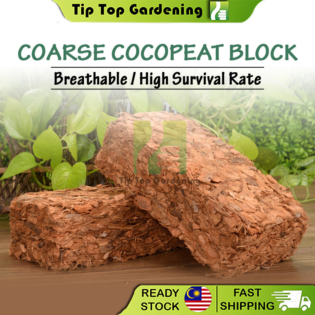 500g Natural Coarse Cocopeat Block Compressed Cocopeat Brick Coco Peat ...