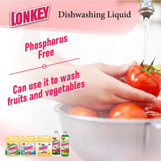 LONKEY Dishwashing Liquid 1.8kg Aco Vinegar / Aloe Vera / Anti ...
