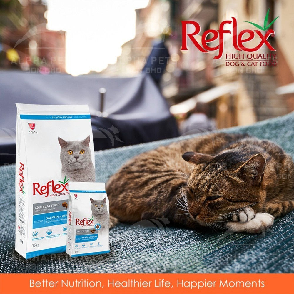 POODEE Reflex Plus Urinary Reflex Cat Food Reflex Kitten Food Kibbles ...