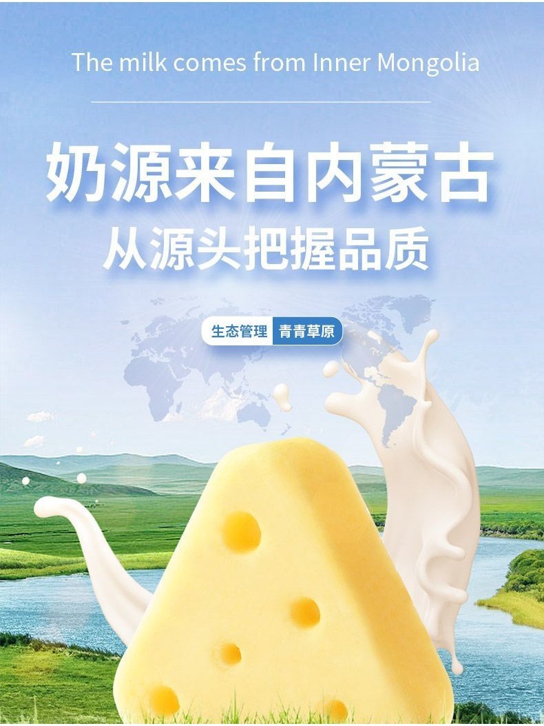 ZEJUN Triangle cheese 90g Inner Mongolia yogurt cheese cubes ...