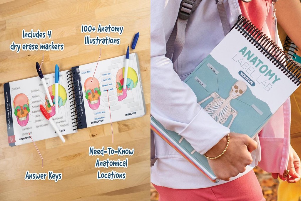 Interactive Body Systems Guide Color Notepad for Medical Students ...