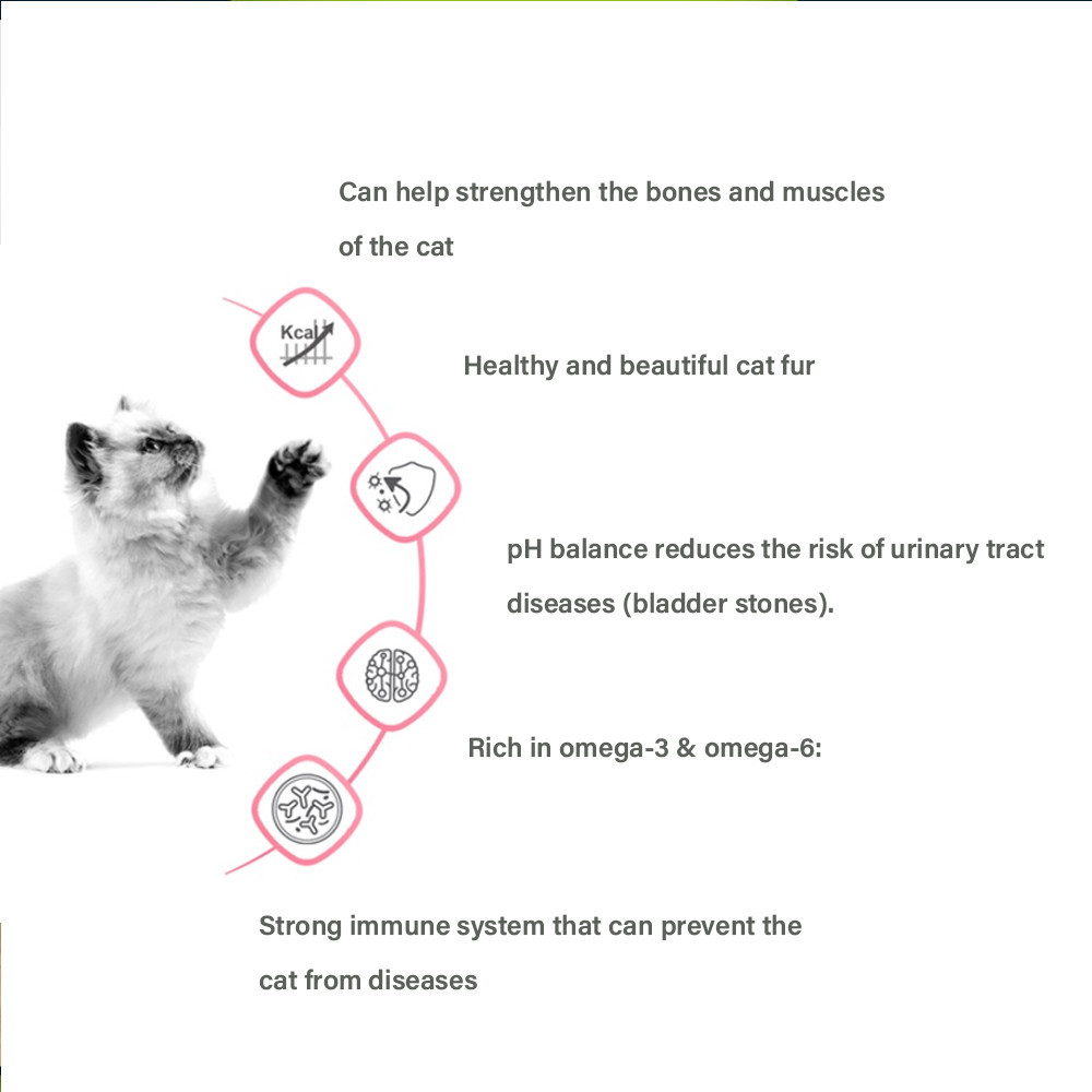 POODEE PETS Cattus Cat Dry Food Repack 1kg Ocean Fish Milk Cat Food Pet ...