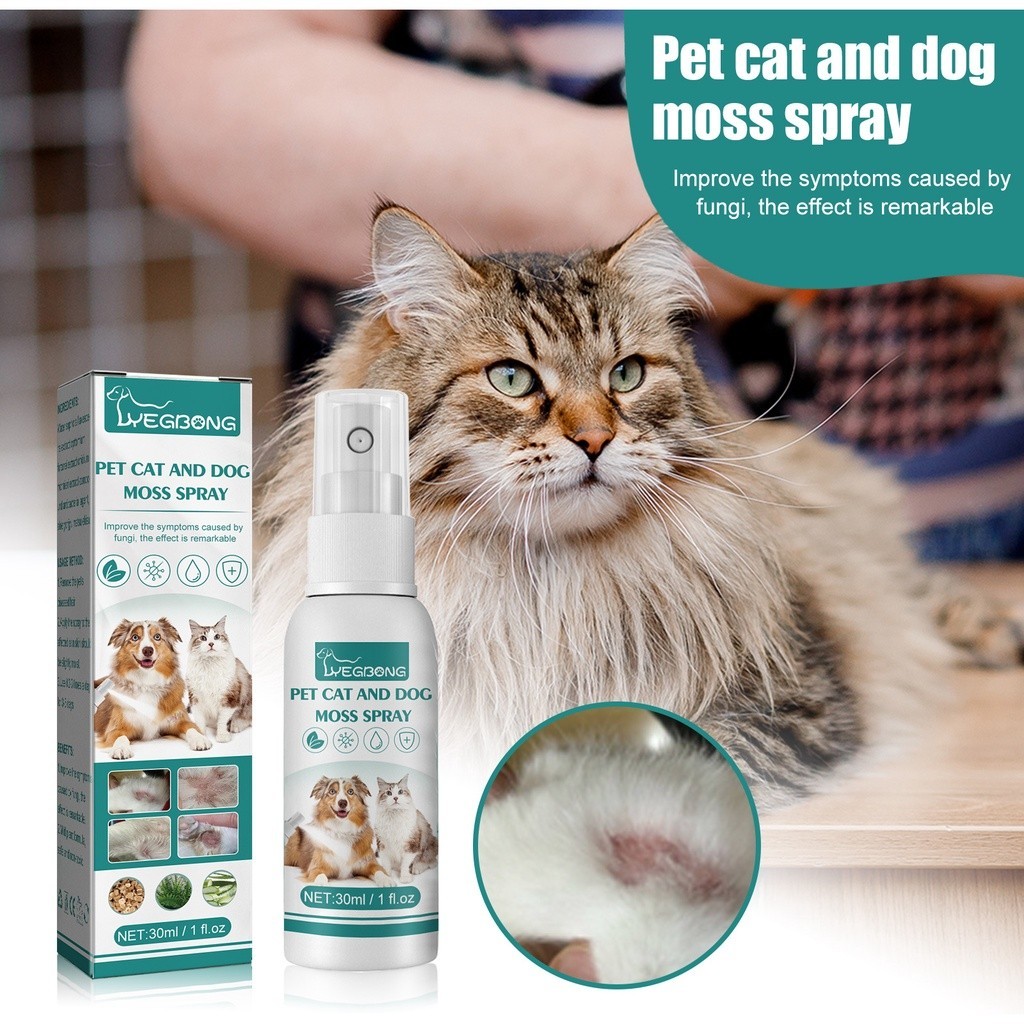 Dog and Cat Itch Relief & Skin Treatment- for Itchy Skin and Ringworm ...