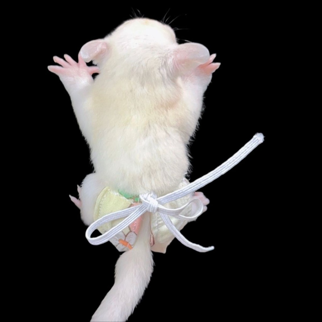 Honey Glider Diapers Can Be Washed Repeatedly Used Honey Glider Diapers ...