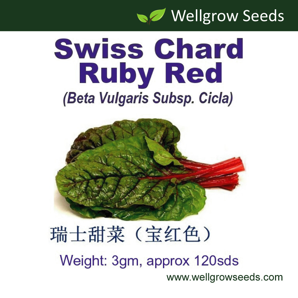 Swiss Chard Ruby Red (3gm, ≈120sds) 瑞士甜菜（宝红色） Vegetable Seeds Wellgrow Seeds | Shopee Malaysia