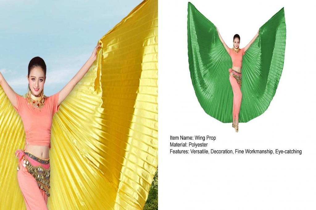 Bright Colored Wing Costume Wing Costume Prop Sparkling Belly Dance ...