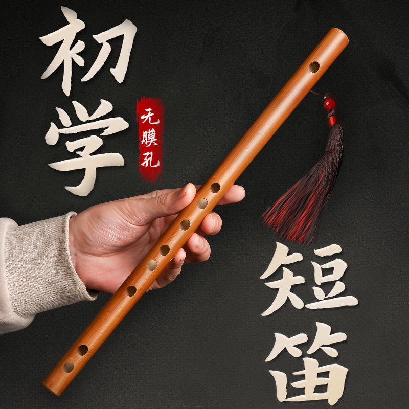 【4150 People Praise】Mini Piccolo Instrument Portable Membrane-free Hole ...