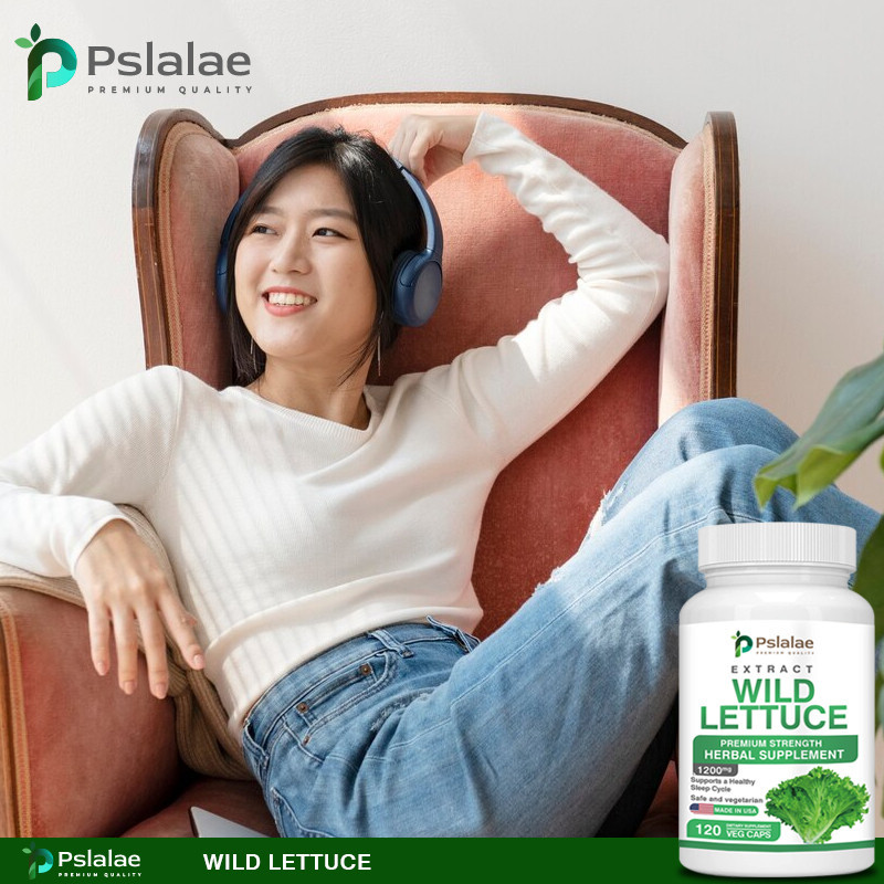 Pslalae wild lettuce extract, improves sleep cycle, enhances immunity ...