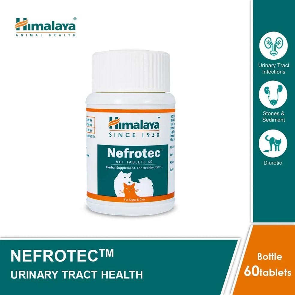 Himalaya Nefrotec 60 Tablets urinary tract health supplement for dogs ...