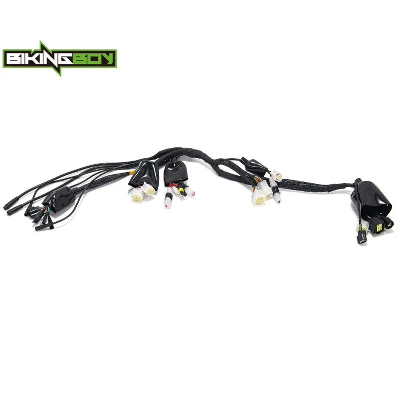 BIKINGBOY For Talaria Sting R MX4 Full Main Wire Wiring Assy Harness ...