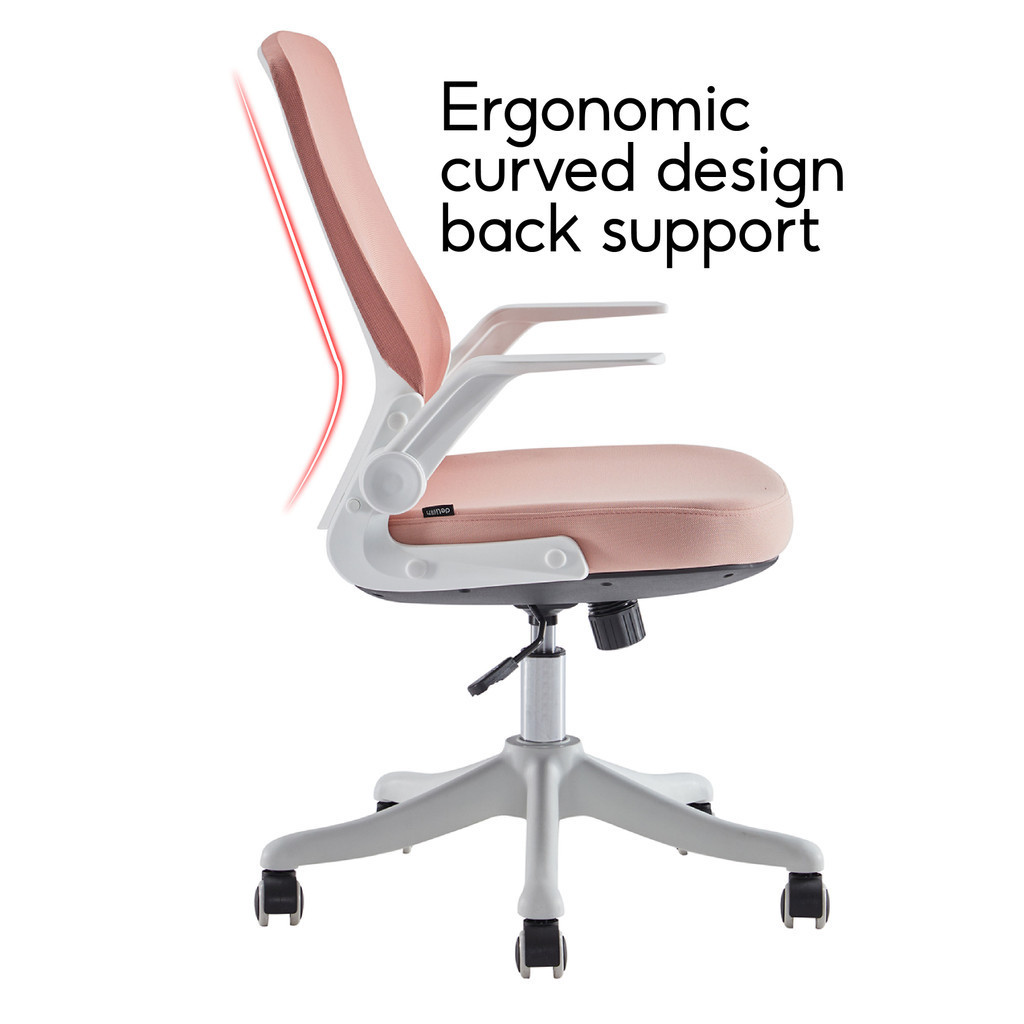 Deli Ergonomic Office Chair Furniture Home Living Mesh Back Home Office ...
