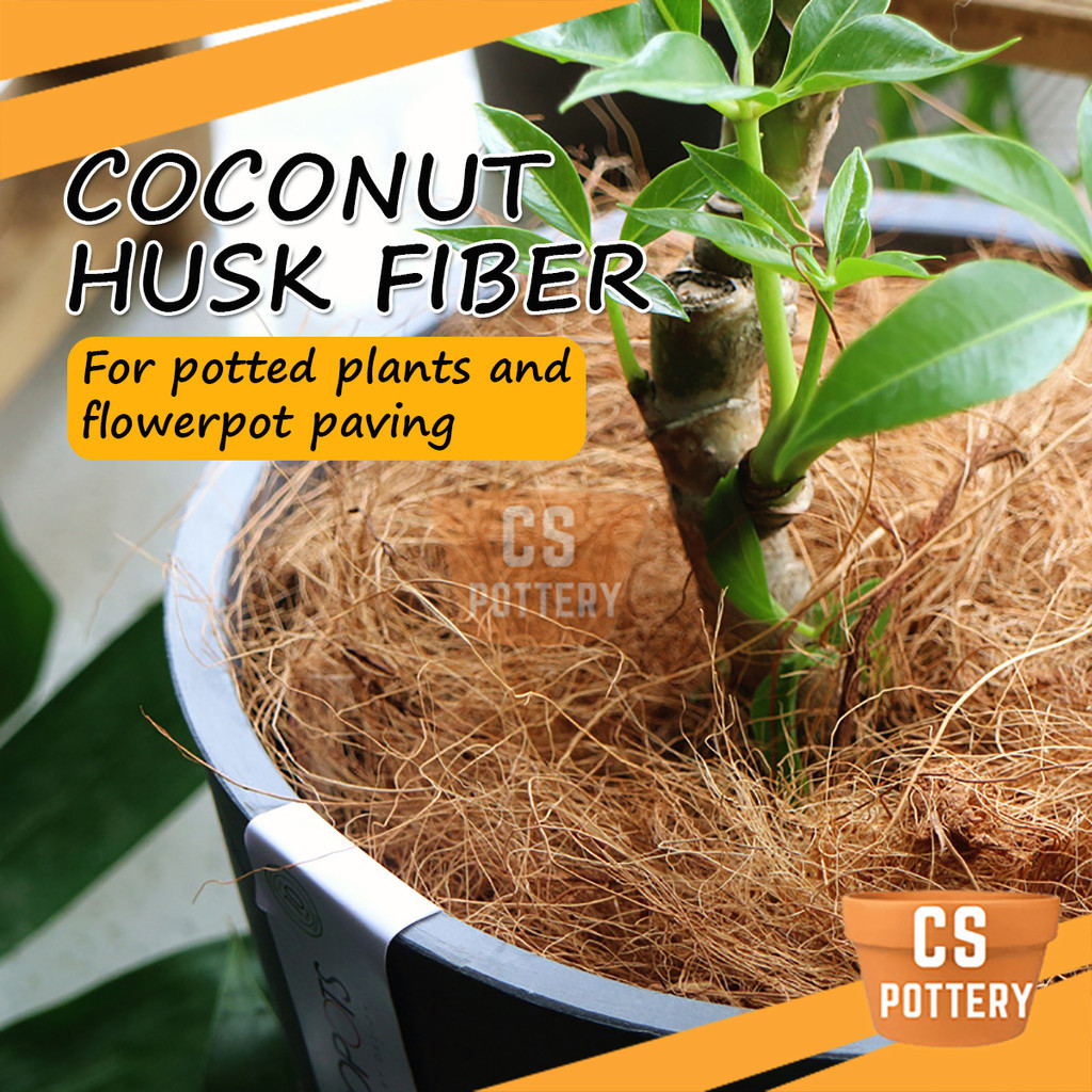 Coconut Husk Fiber Pure Organic Coco Coir Husk Fiber Sabut Kelapa Kasar ...