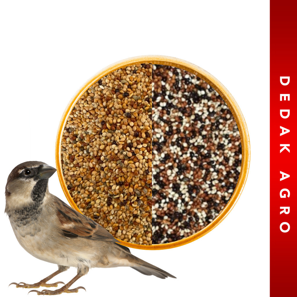 [REPACK][1KG] Sambau Campur / Kambu / Millet / Makanan Burung (Mix ...