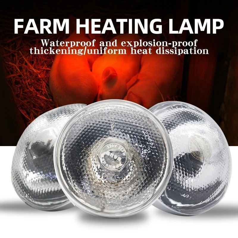 Breeding Bulb High Quality Heating Lamp E27 100W/150W/200W/250W LED ...