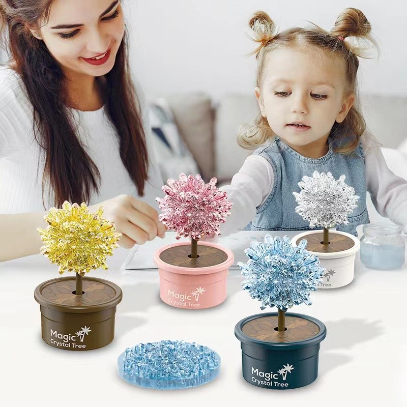 DIY Steam Crystal Planting Growing Science Experiment Educational Kit ...