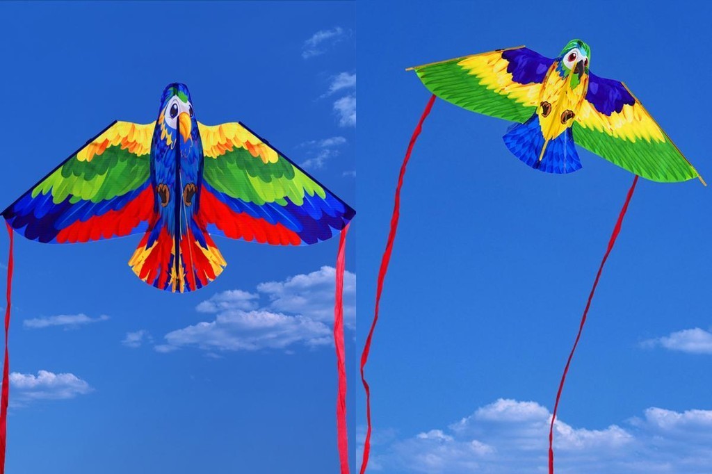 [EY] Kids Outdoor Kite Seaside Kite Colorful Parrot Kite for Kids and ...