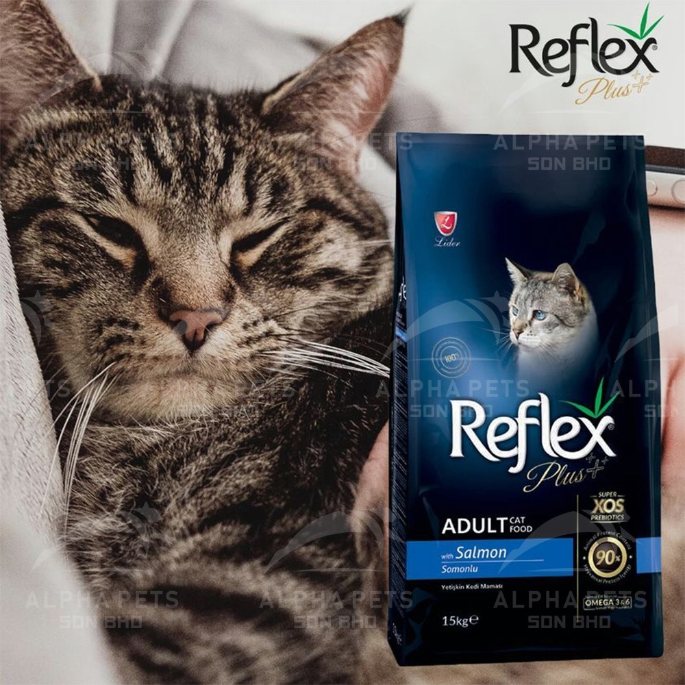POODEE Reflex Plus Urinary Reflex Cat Food Reflex Kitten Food Kibbles ...