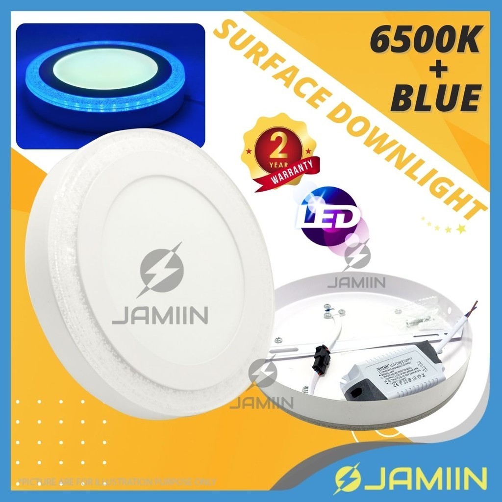 6500K+ BLUE Surface Downlight LED Flush Mount Panel Ceiling Light ...