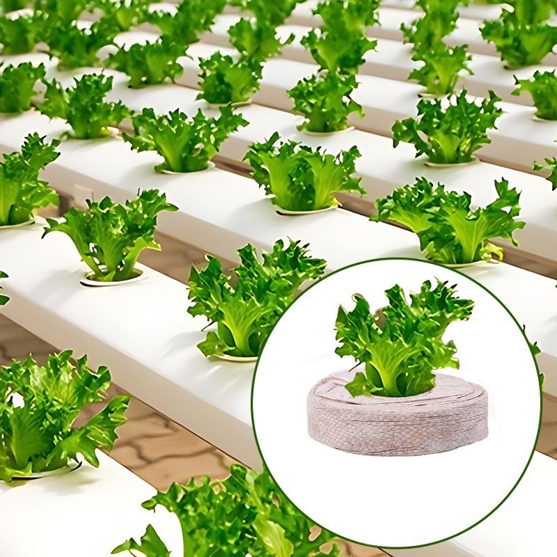 10Pcs Non-woven Seedling Block - Nutrient Soil Nursery Block - Planting ...
