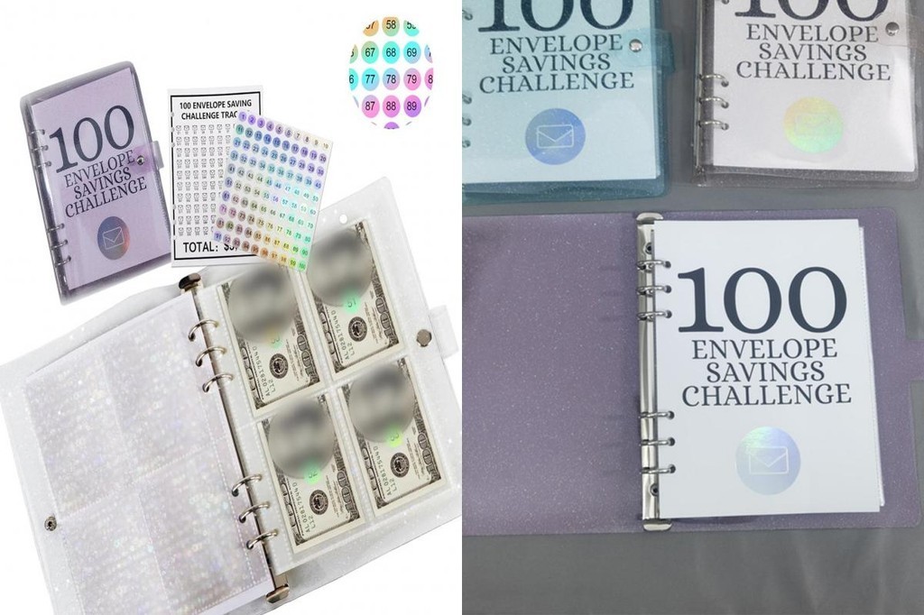 [poslajudo] Savings Tracker Binder Money Saving Challenge Binder 100 ...