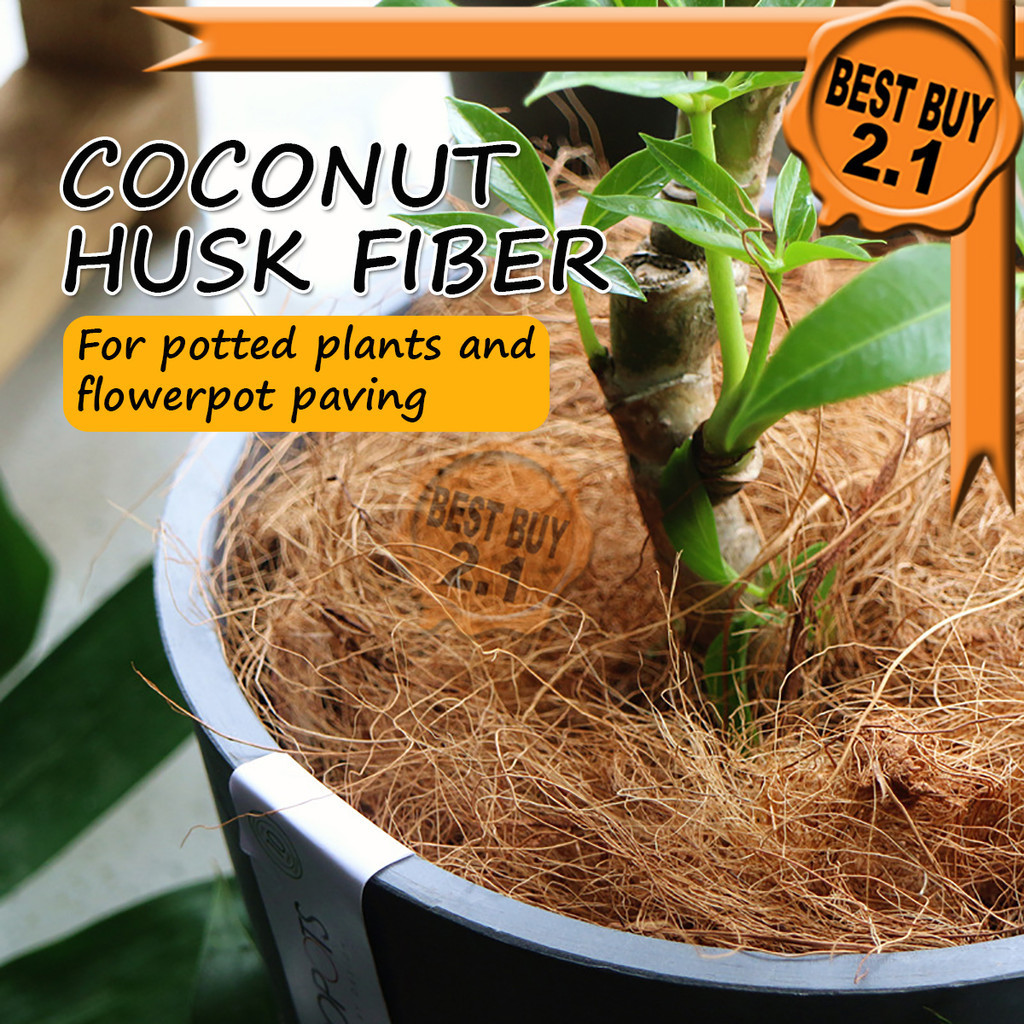 Coconut Husk Fiber Pure Organic Coco Coir Husk Fiber Sabut Kelapa Kasar ...