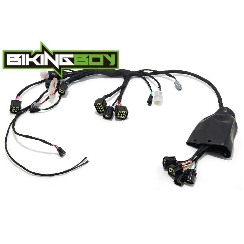 BIKINGBOY Full Main Wire Wiring Assy Harness For Surron Light Bee X Sur ...