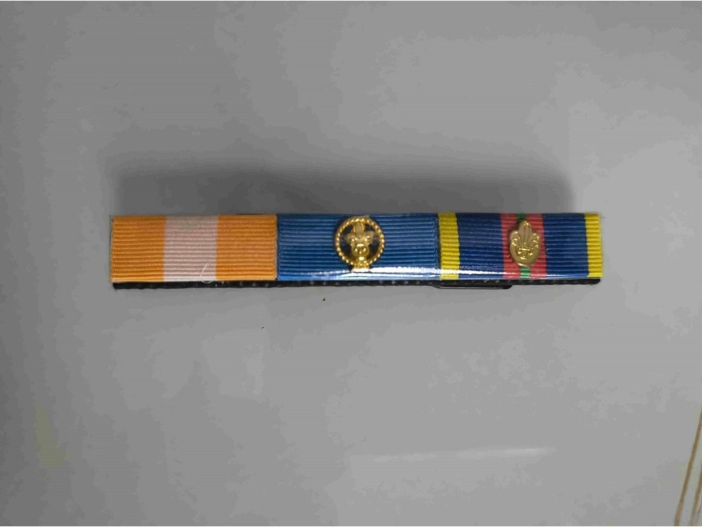 Malaysia Scout Ribbons Bar (SKKPN/PPM 100Y/KL 100Y) | Shopee Malaysia