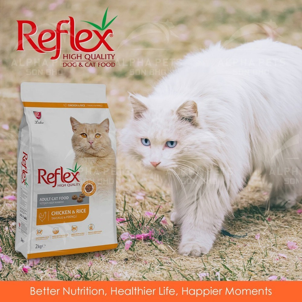 POODEE Reflex Plus Urinary Reflex Cat Food Reflex Kitten Food Kibbles ...