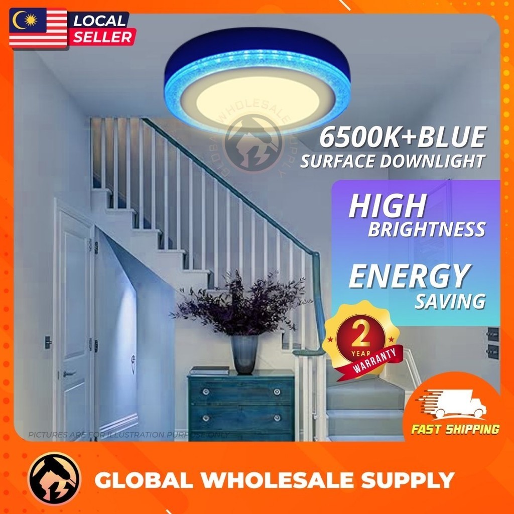6500K+ BLUE Surface Downlight LED Flush Mount Panel Ceiling Light ...
