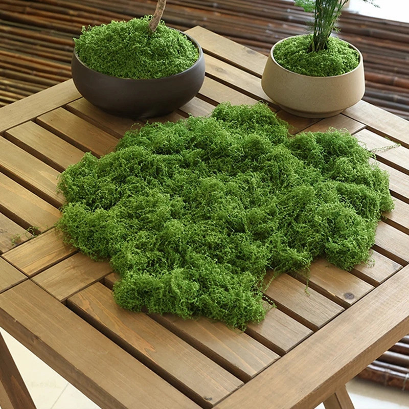 30/50g DIY Artificial Moss Simulation - Lawn Bonsai Paving Decorative ...