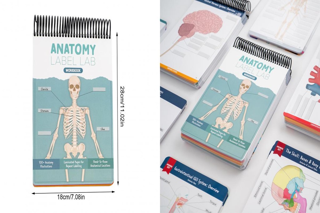 Interactive Body Systems Guide Color Notepad for Medical Students ...