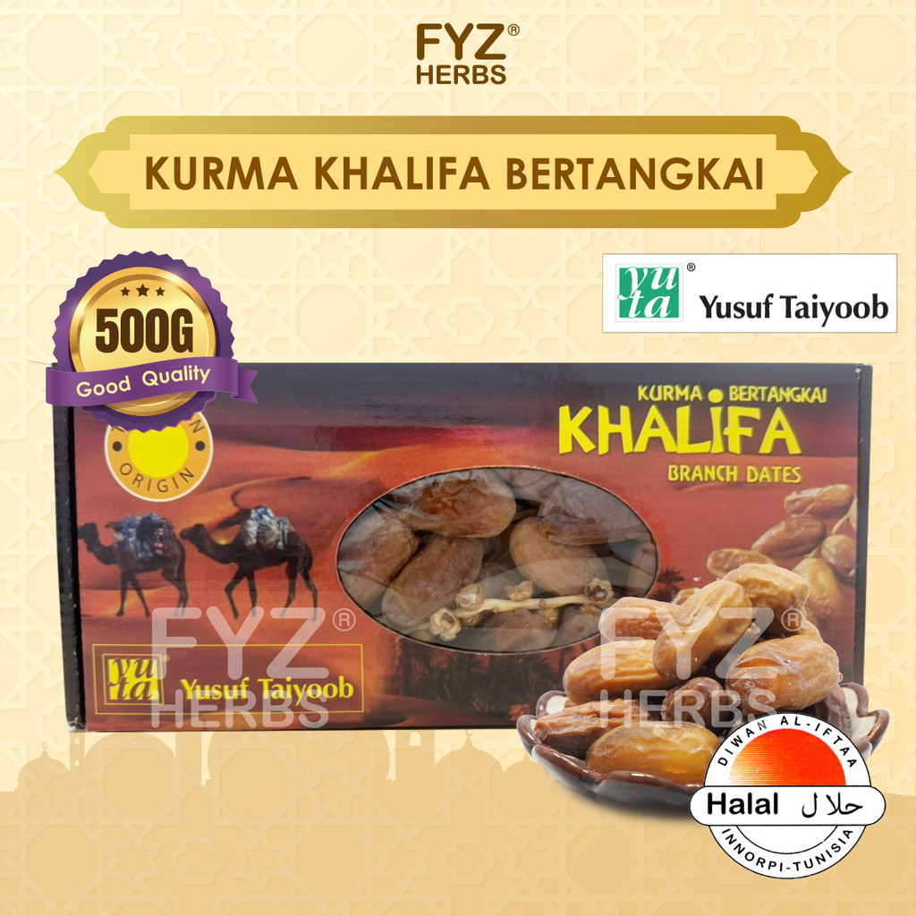 Yusuf Taiyoob KURMA KHALIFA Bertangkai 500G | Branch Dates | Kurma ...
