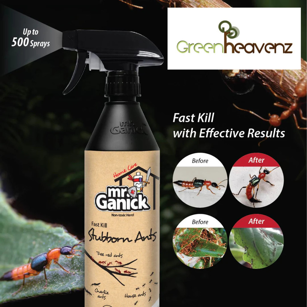 GHZ-BABA MR GANICK HOUSE PEST REPELLENTS SPRAY LIZARD CAT DOG ANTS ...