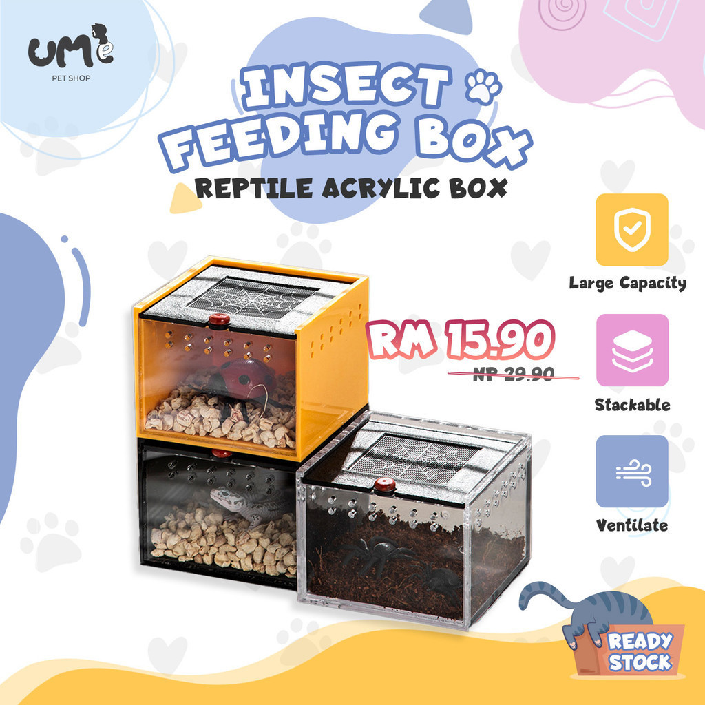 Ume Pet Insect Feeding Box Climbing Pet Spider Scorpion Beetle Insect ...