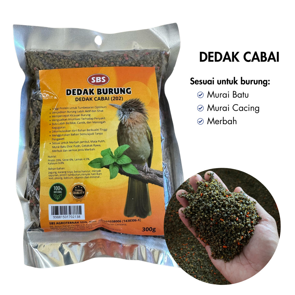 [300G] DEDAK BURUNG MURAI, MURAI BATU, BULBUL, MERBAH,MERBAH JAMBUL ...