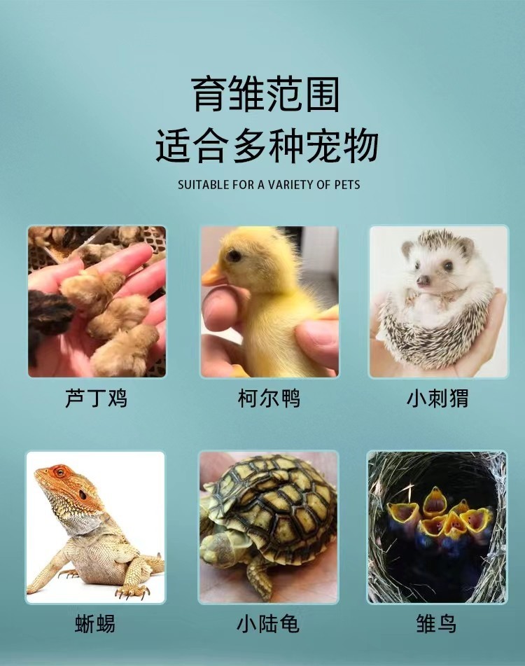 Chicken Breeding Box Hedgehog Lizard Pet Breeding Cage Chicken Coop ...