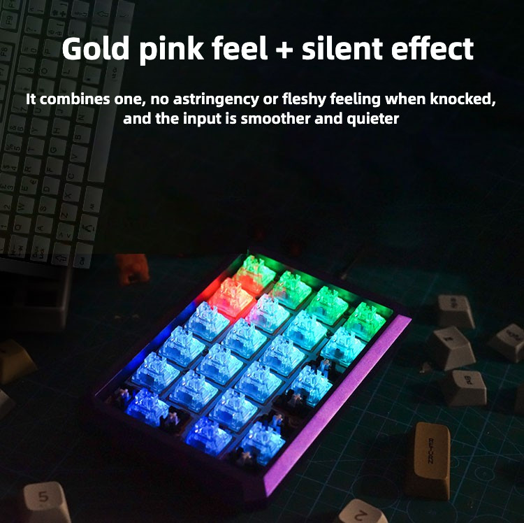 TTC Ice Static switch V2 Silent switch Hot swappable Mechanical ...