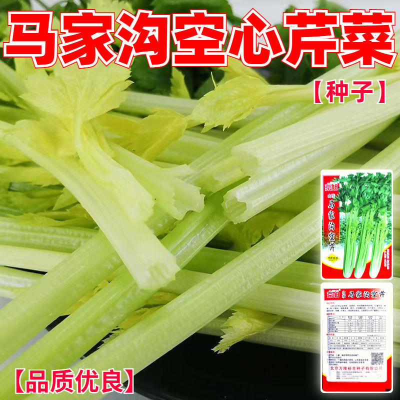 Majiagou biji benih saderi berongga benih saderi sayur-sayuran benih ...