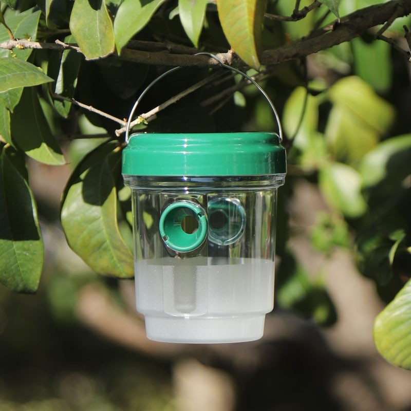 Solar Fruit Fly Trap Orchard Bee Trap Insect Trap Farm Insect Fly Trap ...