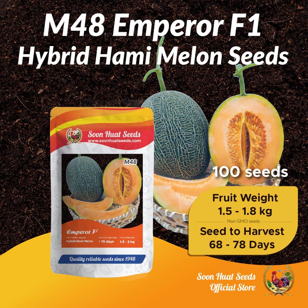 [100 Seeds] M48 Emperor Melon Soon Huat Seeds | Shopee Malaysia