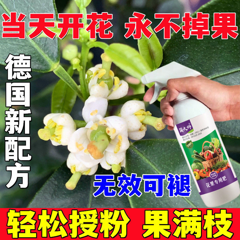 Pati Buah Pollinator tidak perlu menyentuh bunga untuk menggalakkan set ...