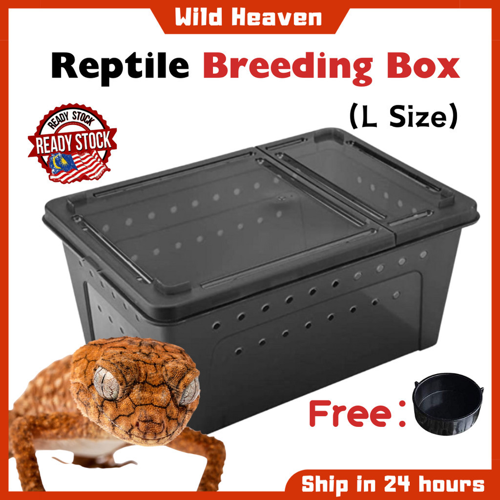 Reptile Plastic Breeding Box Shelter Insects Horn Frog Gecko Lizard ...