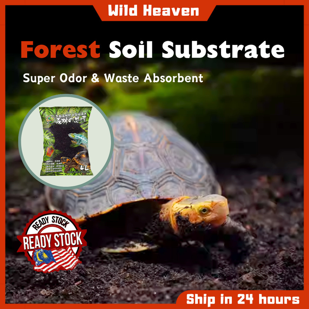 Reptile Forest Soil Bedding Substrate Tortoise Litter Gecko Effective ...