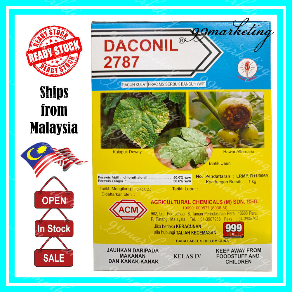 ACM Daconil 2787 1KG Racun Kulat Sistemik Systemic Fungicide 菌药 Leaf ...